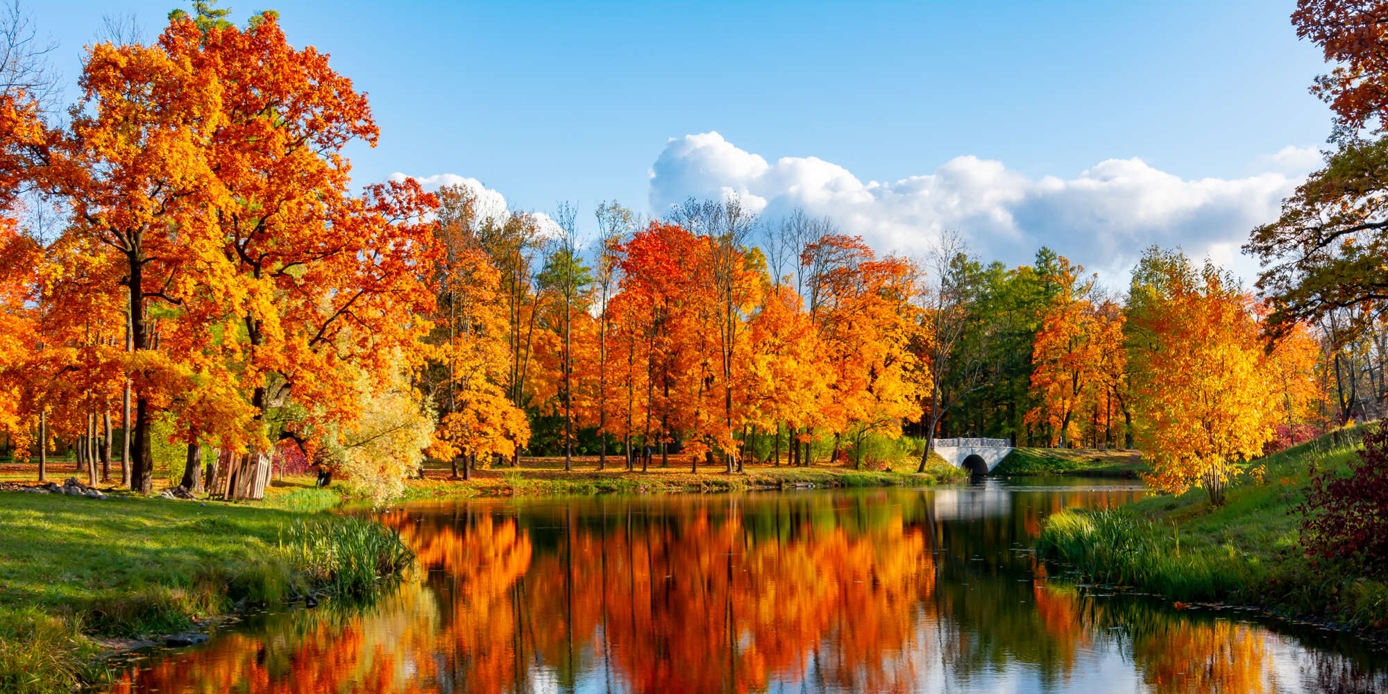 Das ist der „goldene Oktober“ - Eine Frage der Beleuchtung