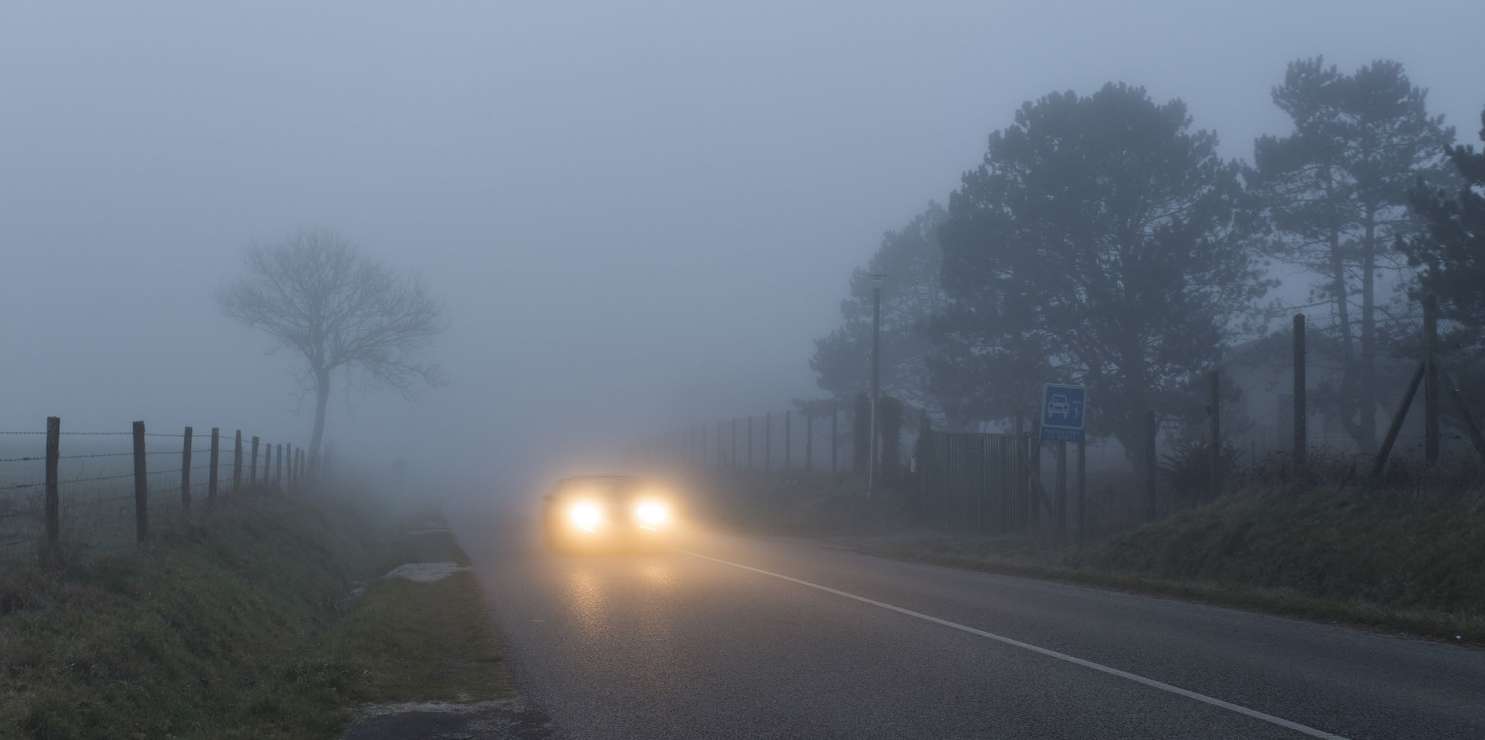 WETTER | Nebel: Schön und gefährlich